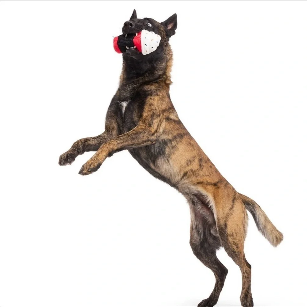 Bark | Dog | Bark Afraid Of The Bark Iv Drip Coffee Shaped Plush Dog ...